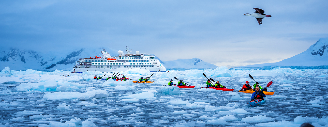 Polar Expeditions to Antarctica & the Arctic | Vantage Explorations ...