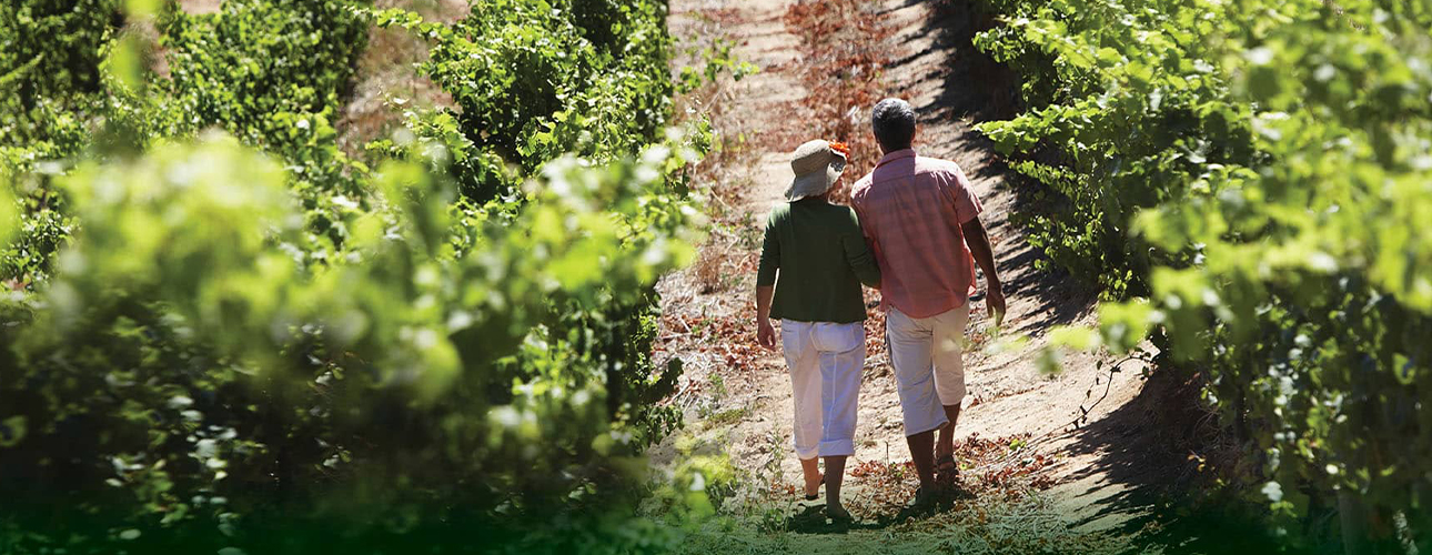 Exploration Activities | Vantage Explorations - Vantage Explorations