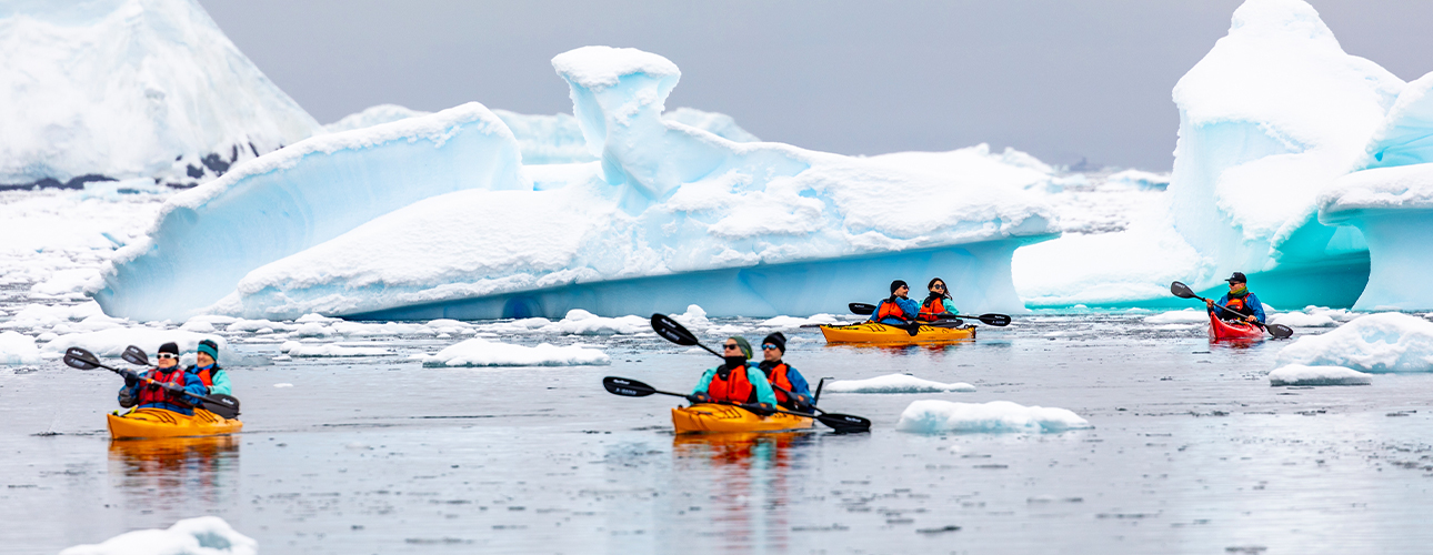 Expedition Activities | Vantage Explorations - Vantage Explorations